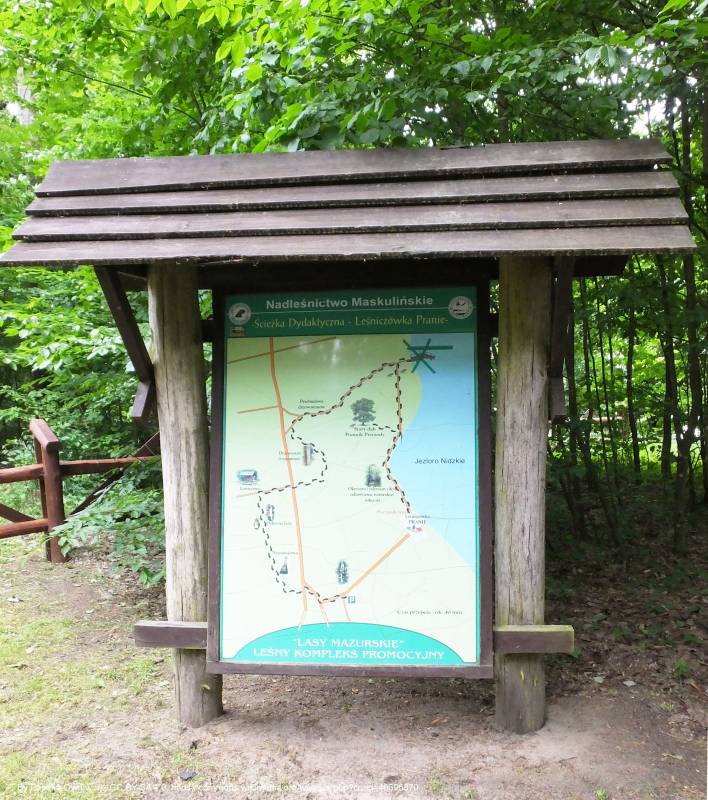 Przyrodnicza ścieżka dydaktyczna Śladami Gałczyńskiego w Praniu ...