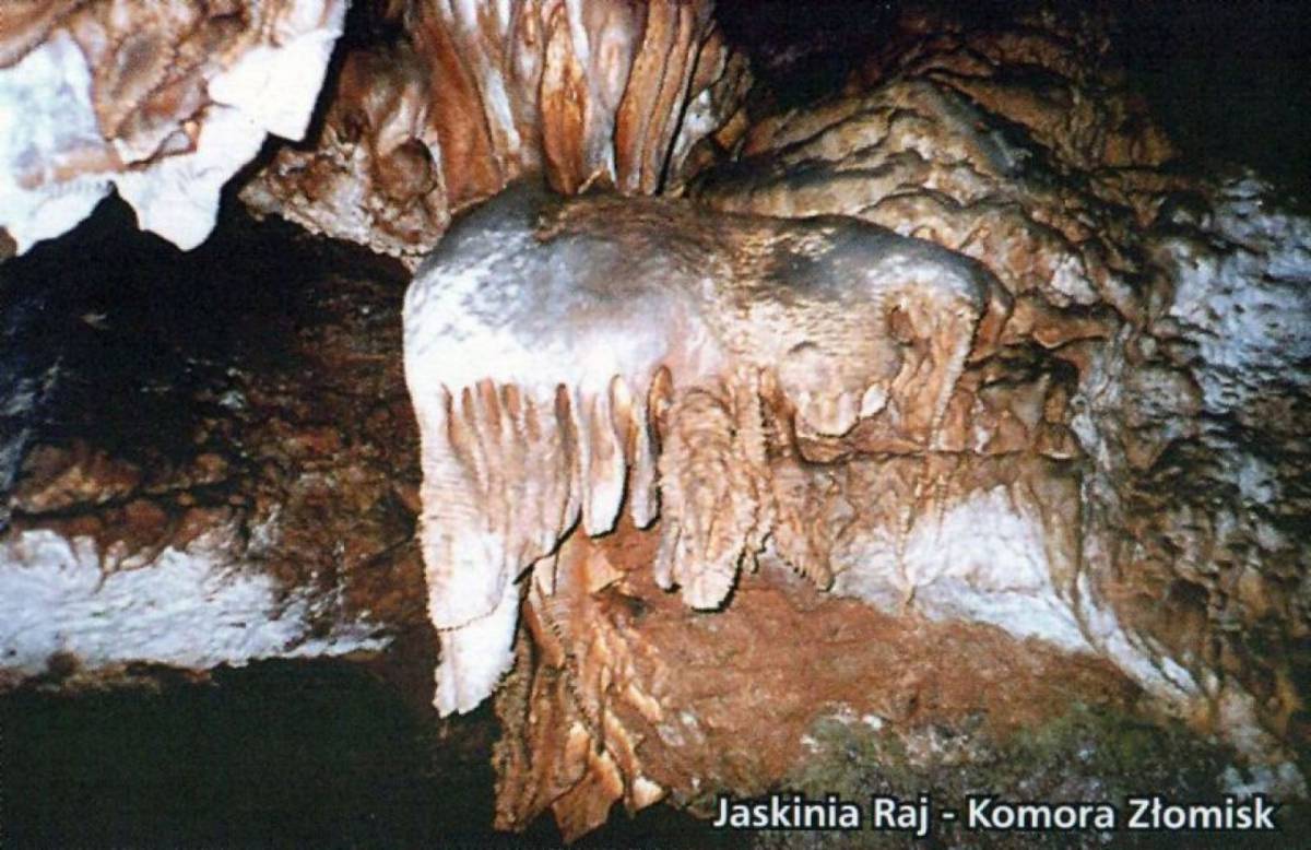 Jaskinia Raj - Atrakcje turystyczne - Odkrywcza turystyka