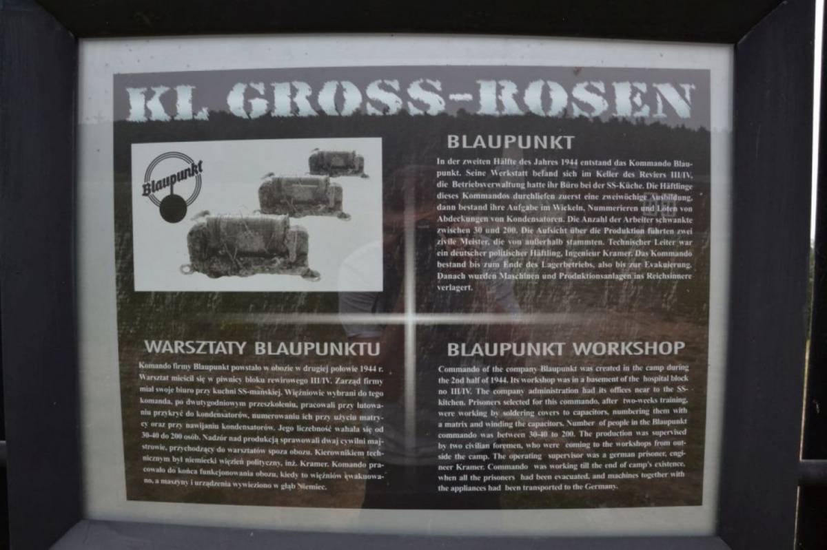 Muzeum Gross-Rosen - Atrakcje turystyczne - Odkrywcza turystyka