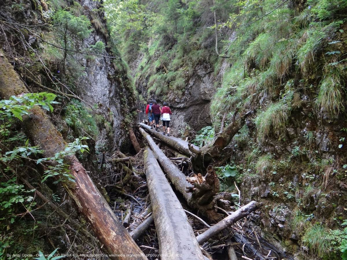 Dolina Veľký Sokol w Słowackim Raju - Atrakcje turystyczne - Odkrywcza ...