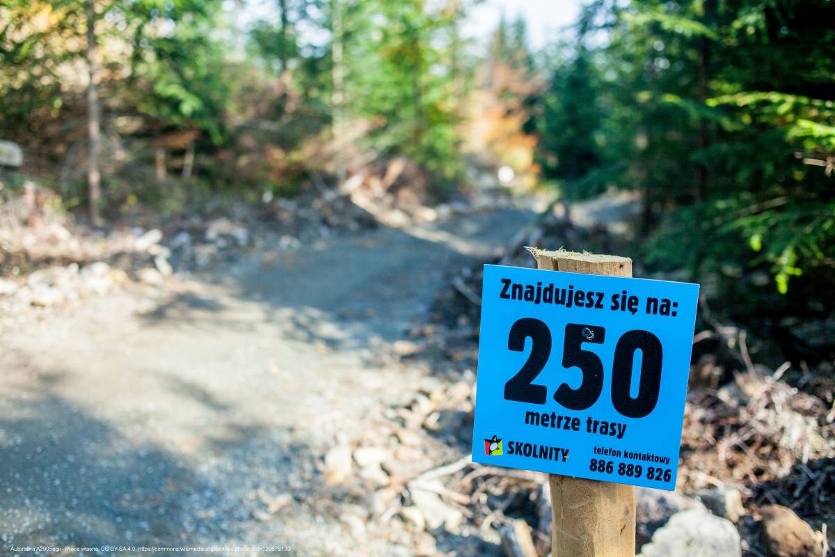 Bike Park Skolnity w Wiśle - Atrakcje turystyczne - Odkrywcza turystyka