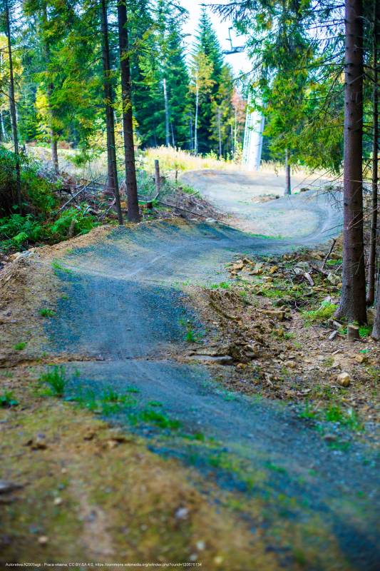 Bike Park Skolnity w Wiśle - Atrakcje turystyczne - Odkrywcza turystyka